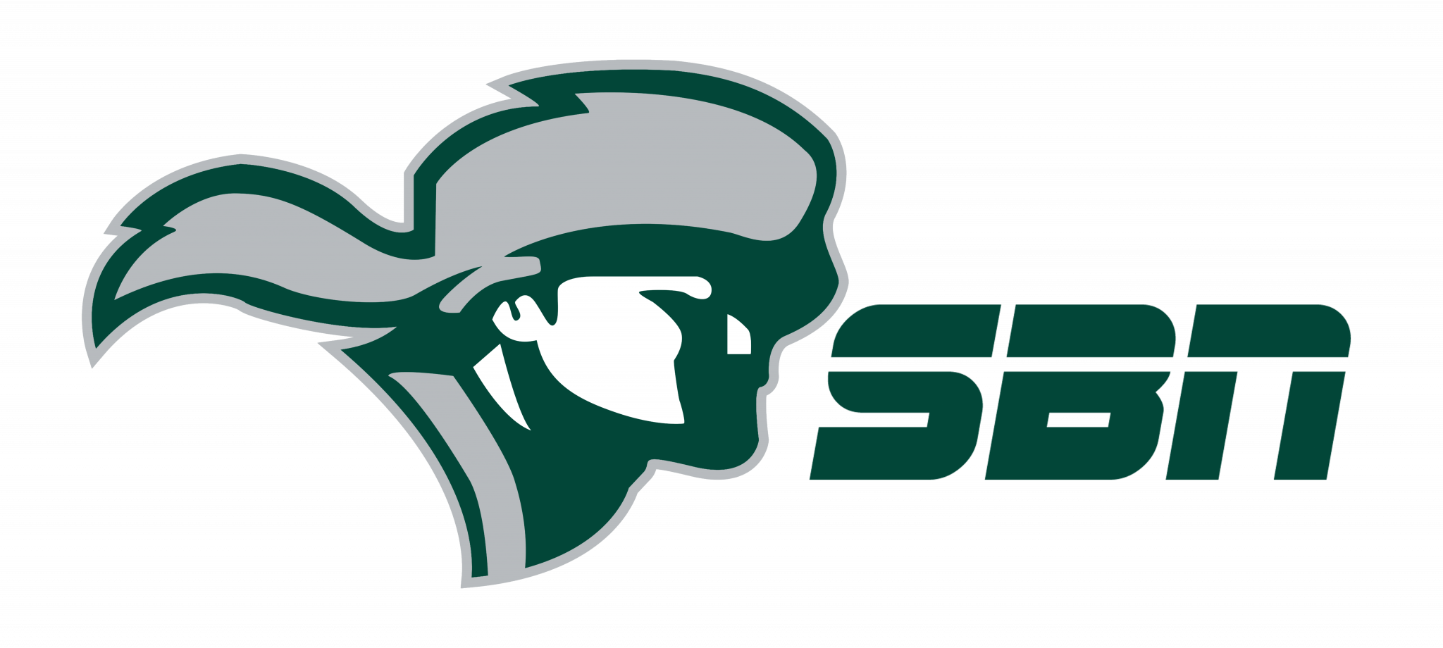 Pioneer Sports Broadcasting Network